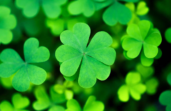 It’s all about connecting the dots – interview with Christian Busch ...