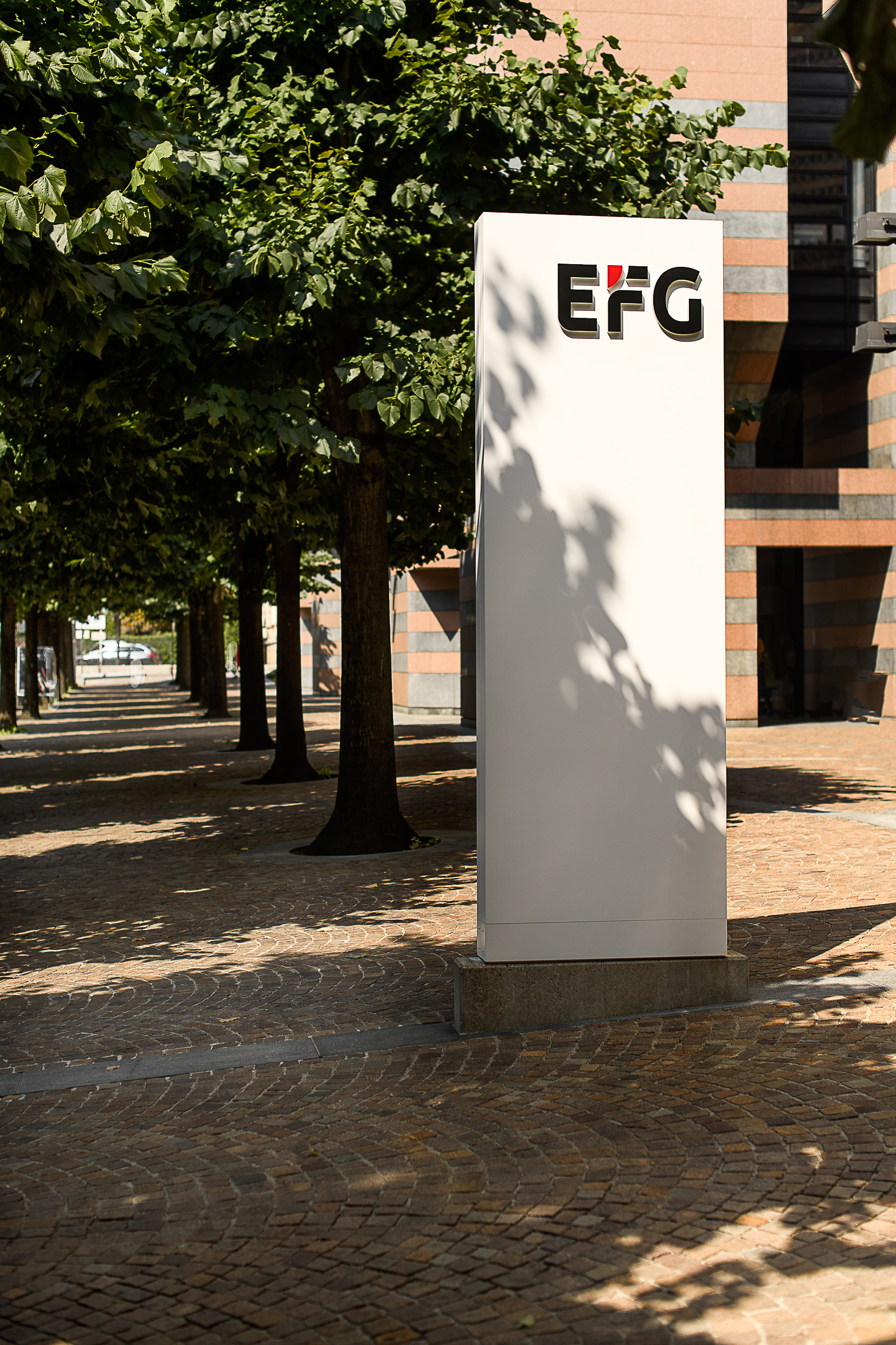 Our Brand Assets - EFG International