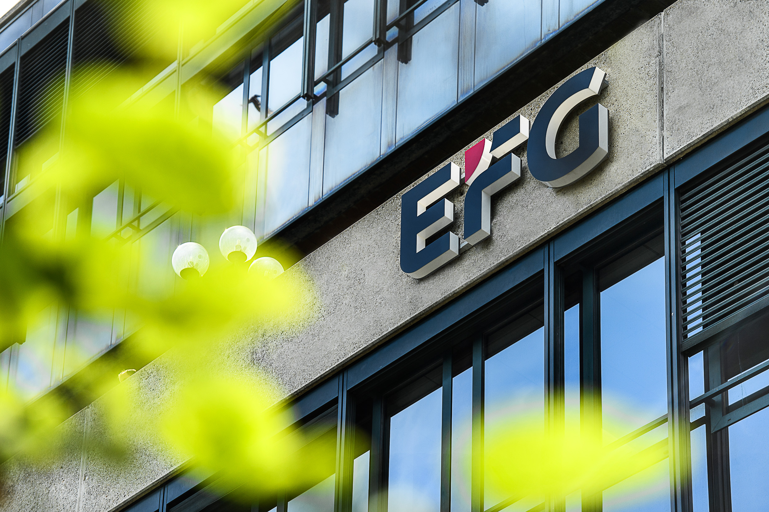 Our Brand Assets - EFG International