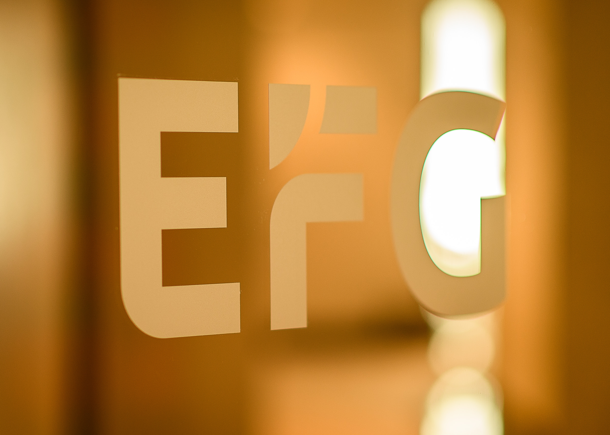 Our Brand Assets - EFG International