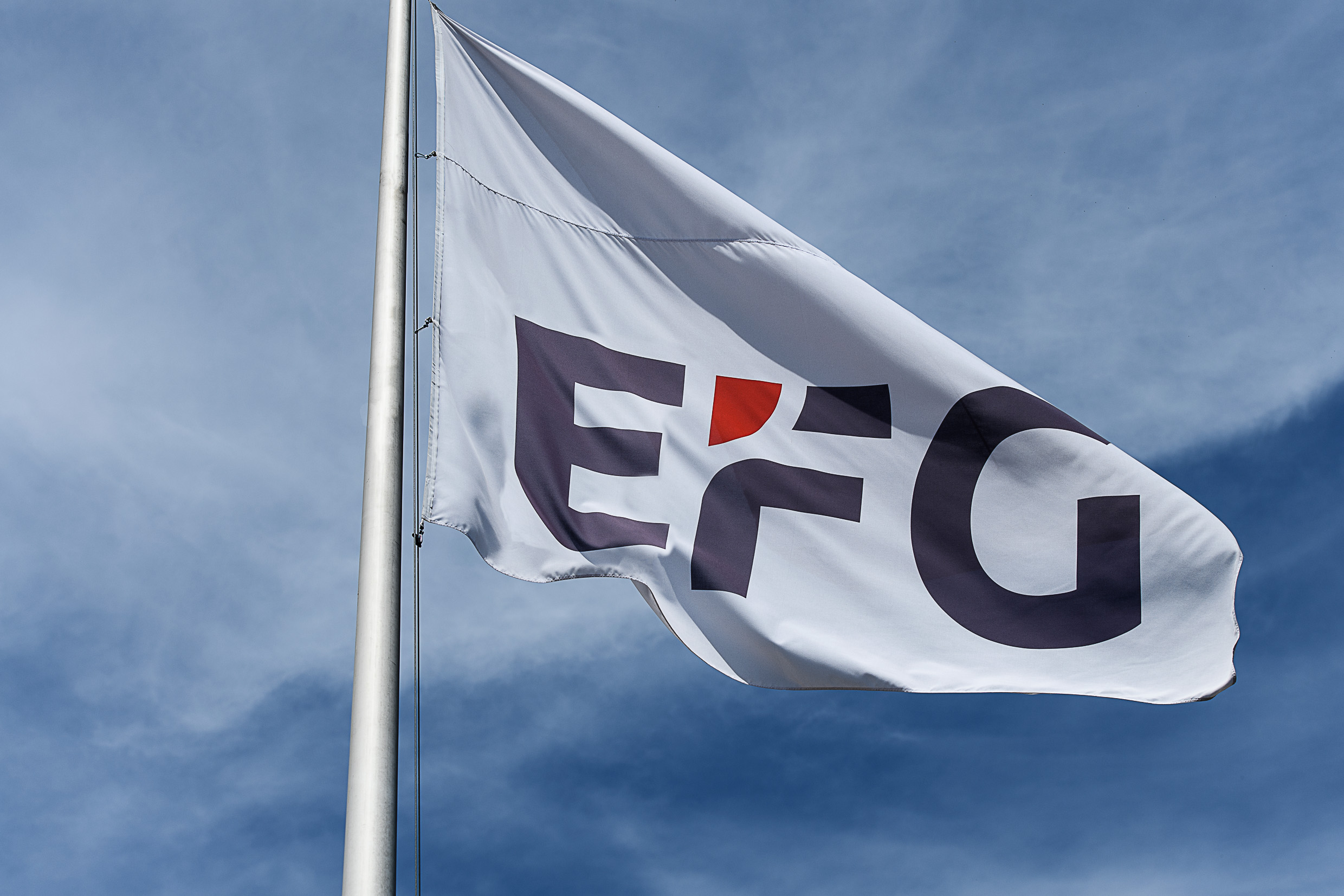 Our Brand Assets - EFG International